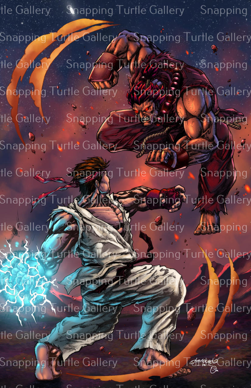 Ryu Vs Akuma, Art, Posters, Prints, & Visual Artwork, Snapping Turtle ...