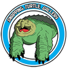 Buy Premium Metal, Acrylic & Canvas Wall Art | Snapping Turtle Gallery